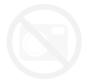 ELIZABETH - SUKIENKA RUBI MAXI Z RÓŻAMI BEŻOWA BŁYSK Butik La Miss